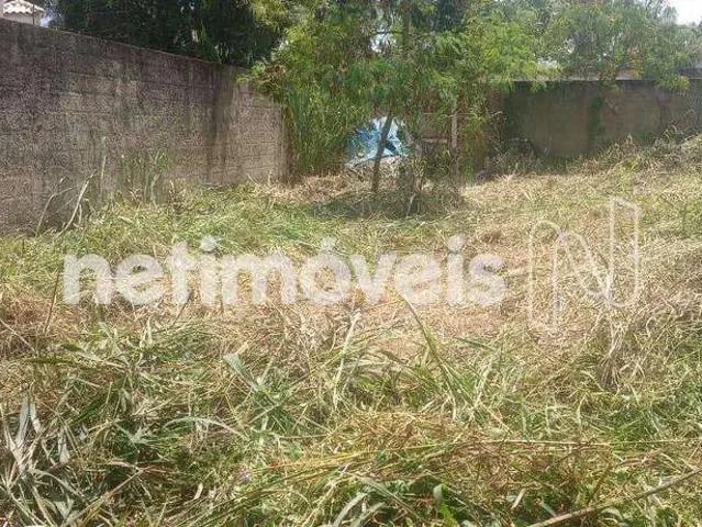 Terreno / Lote para Venda em Nova Lima/MG Ouro Velho Mansões