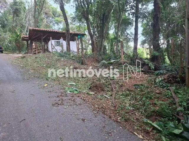 Terreno / Lote para Venda em Nova Lima/MG Parque Jardim Amanda