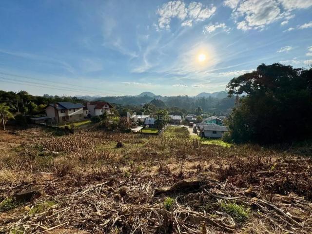 Terreno / Lote para Venda em Nova Petrópolis/RS Vale Verde
