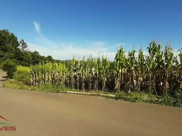 Terreno / Lote para Venda em Nova Petrópolis/RS Vale Verde