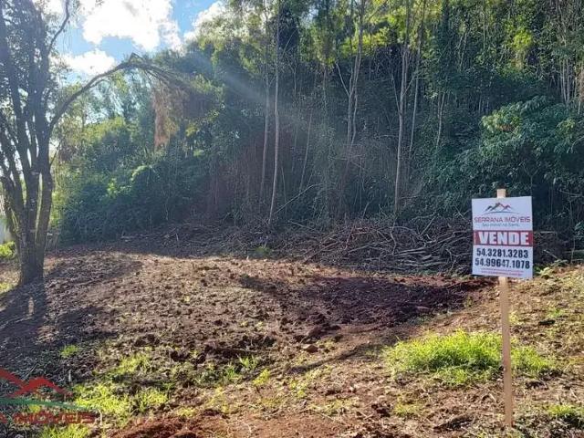 Terreno / Lote para Venda em Nova Petrópolis/RS Vale Verde