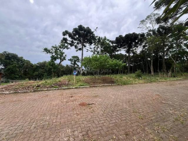 Terreno / Lote para Venda em Nova Petrópolis/RS Vale Verde
