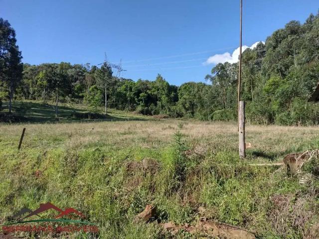 Terreno / Lote para Venda em Nova Petrópolis/RS Vale Verde