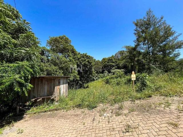 Terreno / Lote para Venda em Nova Petrópolis/RS Vale Verde