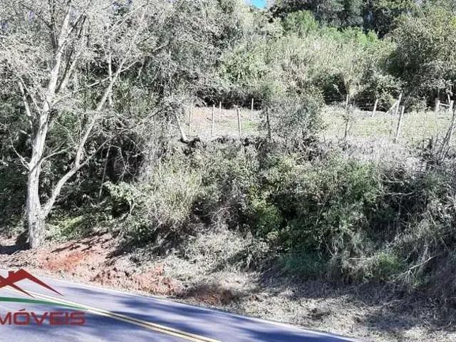 Terreno / Lote para Venda em Nova Petrópolis/RS Vila Olinda