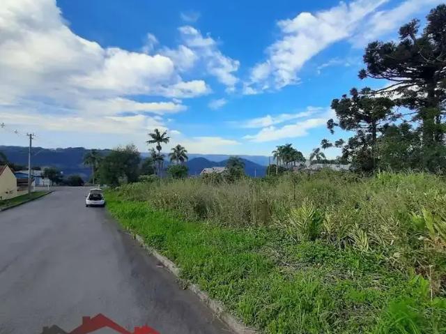 Terreno / Lote para Venda em Nova Petrópolis/RS Vila Olinda