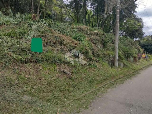 Terreno / Lote para Venda em Nova Petrópolis/RS Linha Olinda