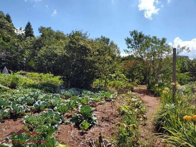 Terreno / Lote para Venda em Nova Petrópolis/RS Vila Olinda