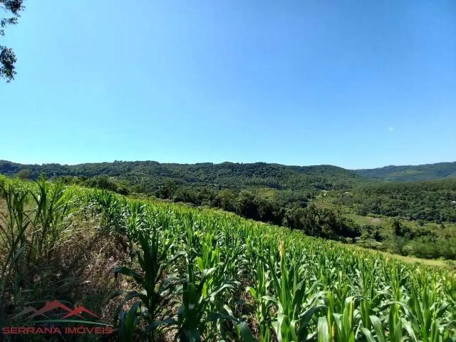 Terreno / Lote para Venda em Nova Petrópolis/RS Vila Germania