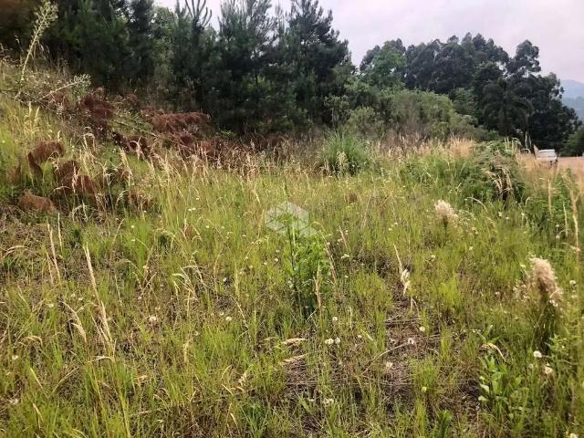 Terreno / Lote para Venda em Nova Petrópolis/RS Bavária