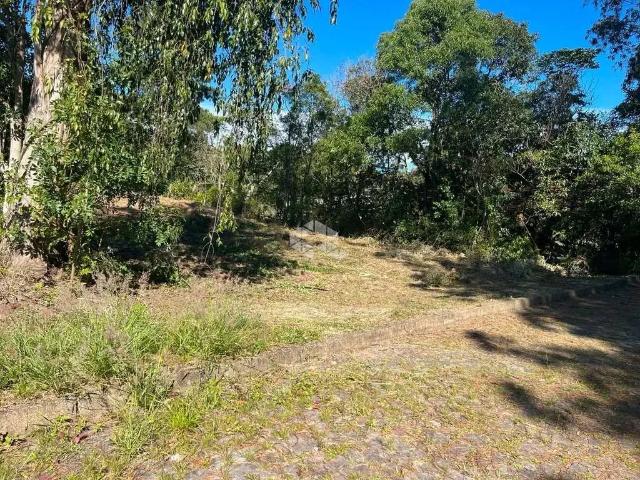 Terreno / Lote para Venda em Nova Petrópolis/RS Bavária