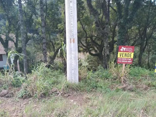 Terreno / Lote para Venda em Nova Petrópolis/RS Bavária