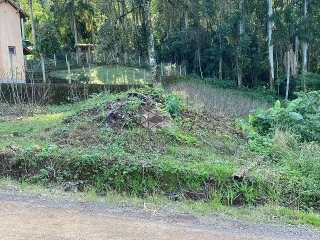 Terreno / Lote para Venda em Nova Petrópolis/RS Bavária