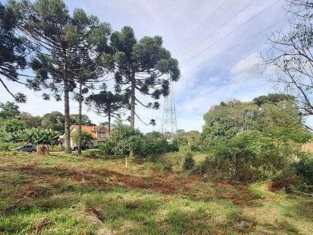 Terreno / Lote para Venda em Nova Petrópolis/RS Bavária