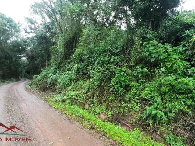 Terreno / Lote para Venda em Nova Petrópolis/RS Canto Ackerman