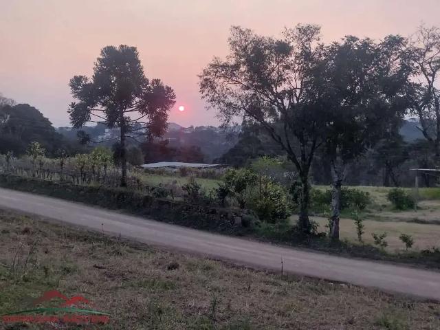 Terreno / Lote para Venda em Nova Petrópolis/RS Canto Ackerman