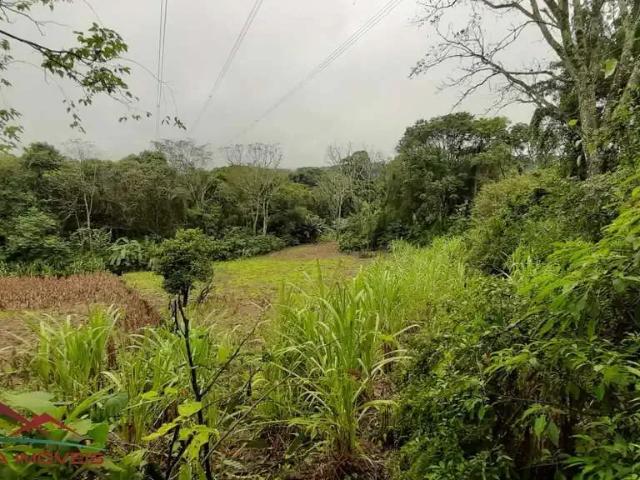 Terreno / Lote para Venda em Nova Petrópolis/RS Canto Ackerman