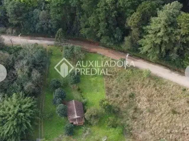 Terreno / Lote para Venda em Nova Petrópolis/RS Centro