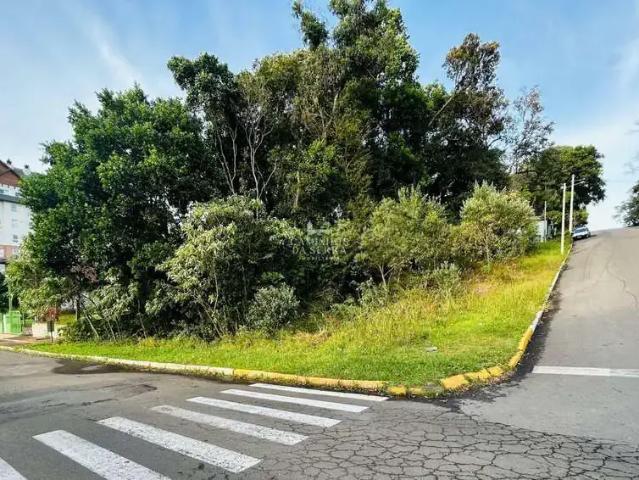 Terreno / Lote para Venda em Nova Petrópolis/RS Centro