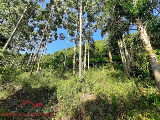 Terreno / Lote para Venda em Nova Petrópolis/RS Fazenda Pirajá