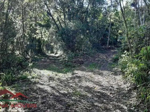 Terreno / Lote para Venda em Nova Petrópolis/RS Fazenda Pirajá