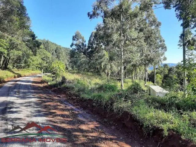 Terreno / Lote para Venda em Nova Petrópolis/RS Fazenda Pirajá