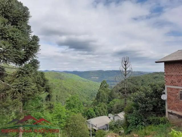 Terreno / Lote para Venda em Nova Petrópolis/RS Juriti
