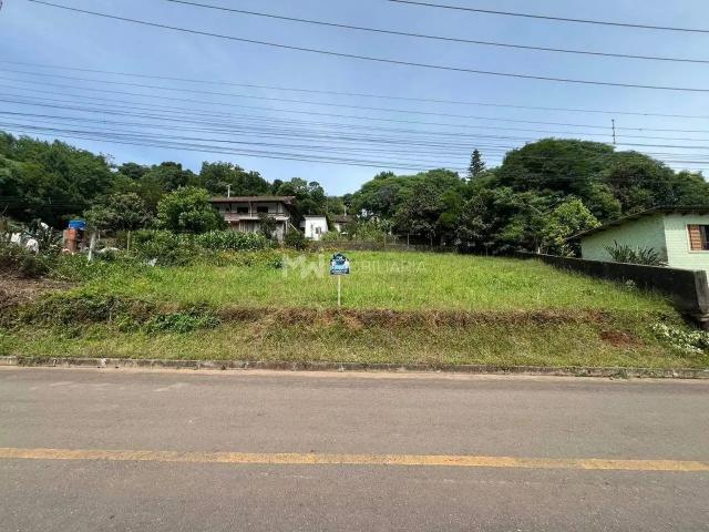 Terreno / Lote para Venda em Nova Petrópolis/RS Juriti