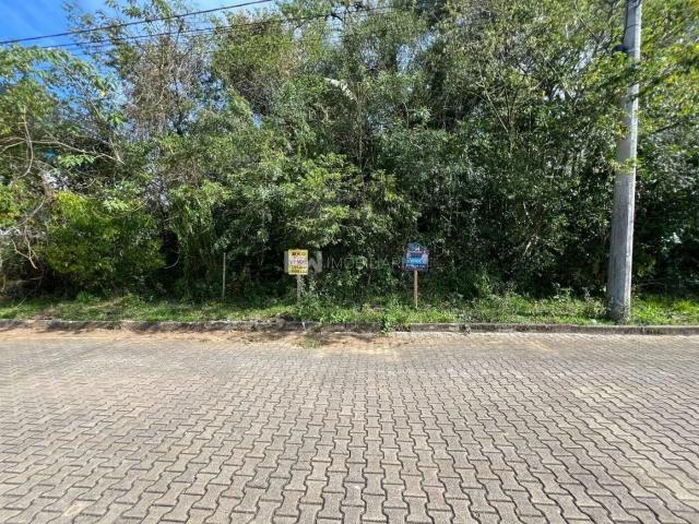 Terreno / Lote para Venda em Nova Petrópolis/RS Juriti