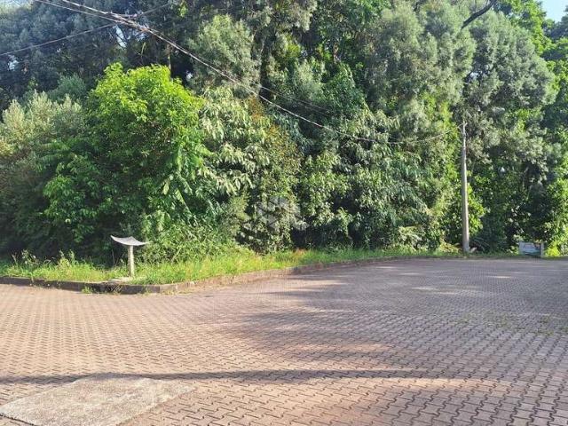 Terreno / Lote para Venda em Nova Petrópolis/RS Juriti