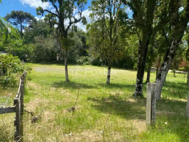 Terreno / Lote para Venda em Nova Petrópolis/RS Juriti