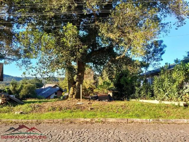 Terreno / Lote para Venda em Nova Petrópolis/RS Juriti