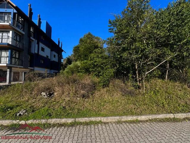 Terreno / Lote para Venda em Nova Petrópolis/RS Juriti