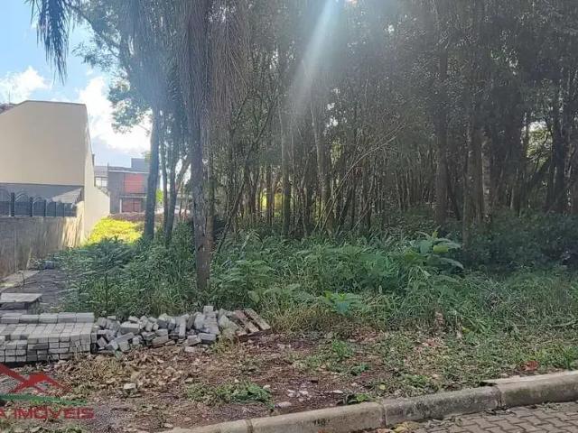 Terreno / Lote para Venda em Nova Petrópolis/RS Juriti