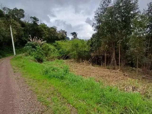 Terreno / Lote para Venda em Nova Petrópolis/RS Linha Temerária