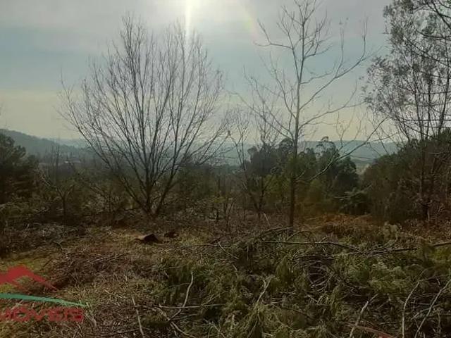 Terreno / Lote para Venda em Nova Petrópolis/RS Linha Araripe