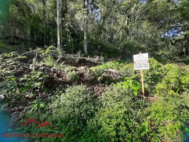 Terreno / Lote para Venda em Nova Petrópolis/RS Linha Brasil