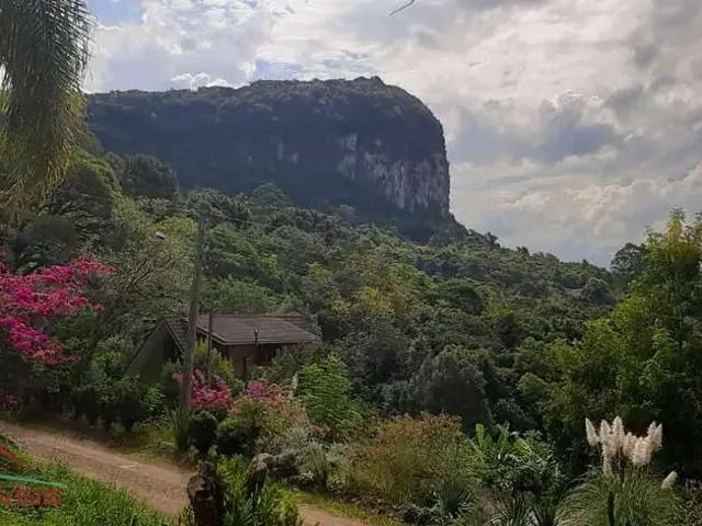 Terreno / Lote para Venda em Nova Petrópolis/RS Linha Brasil