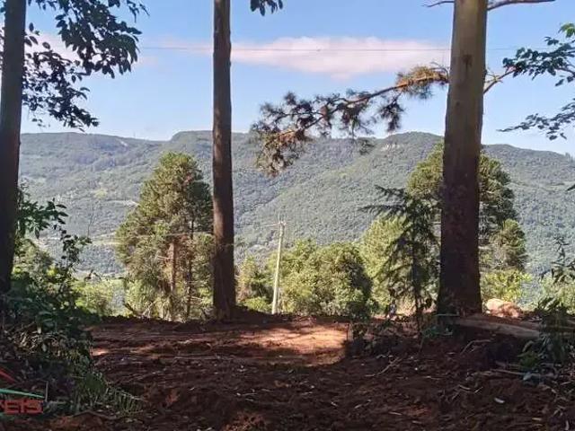 Terreno / Lote para Venda em Nova Petrópolis/RS Linha Brasil