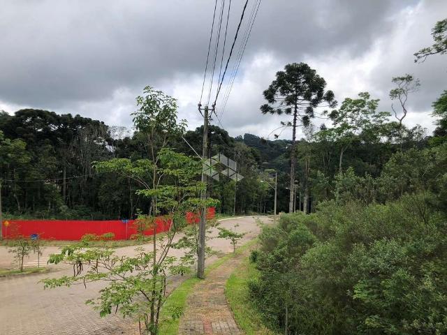 Terreno / Lote para Venda em Nova Petrópolis/RS Linha Imperial