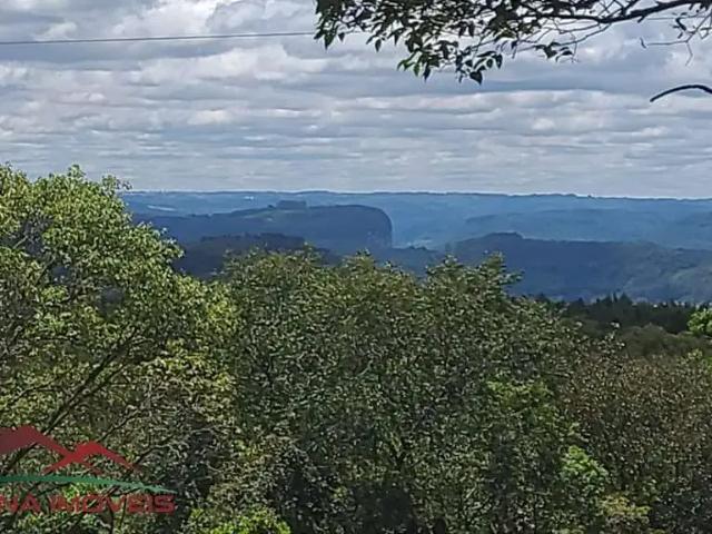 Terreno / Lote para Venda em Nova Petrópolis/RS Linha Imperial
