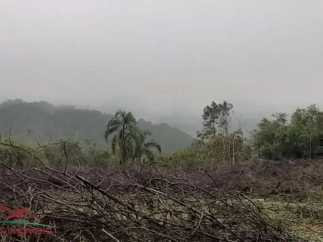 Terreno / Lote para Venda em Nova Petrópolis/RS Linha Imperial