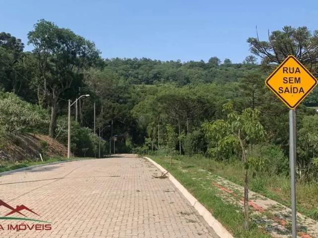 Terreno / Lote para Venda em Nova Petrópolis/RS Linha Imperial