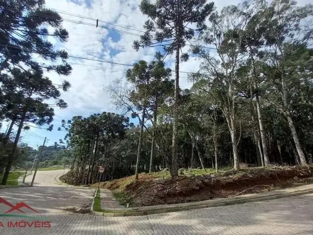 Terreno / Lote para Venda em Nova Petrópolis/RS Linha Imperial