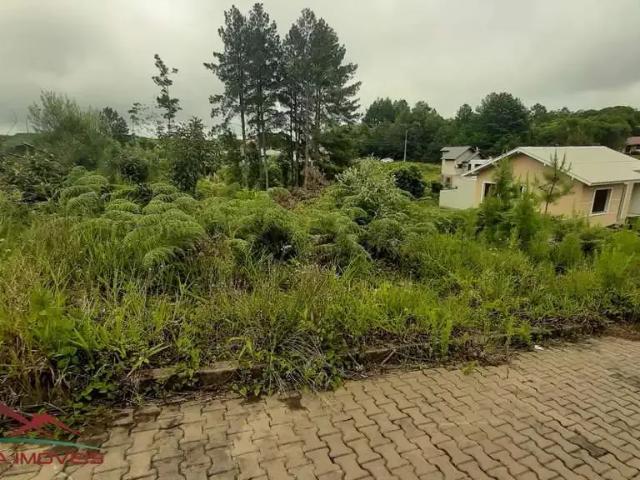 Terreno / Lote para Venda em Nova Petrópolis/RS Linha Imperial