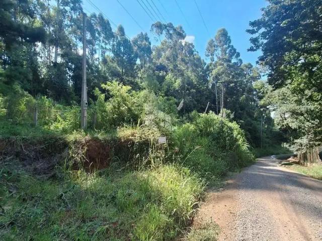 Terreno / Lote para Venda em Nova Petrópolis/RS Linha Imperial