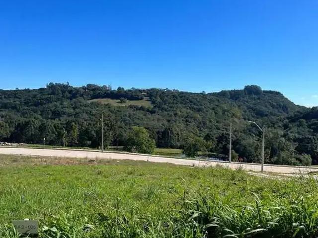 Terreno / Lote para Venda em Nova Petrópolis/RS Linha Imperial