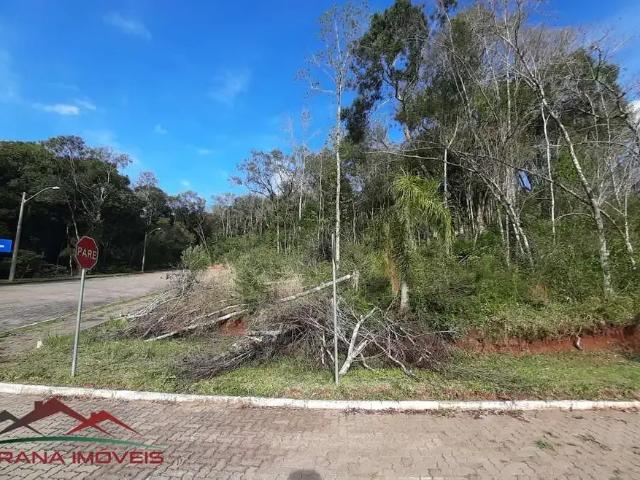 Terreno / Lote para Venda em Nova Petrópolis/RS Linha Imperial