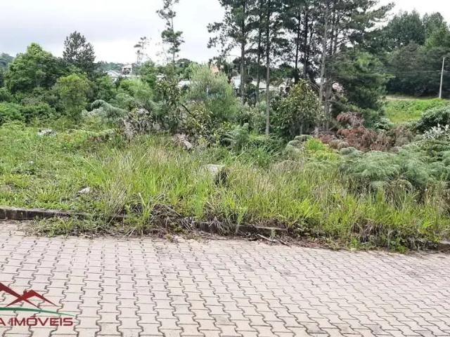 Terreno / Lote para Venda em Nova Petrópolis/RS Linha Imperial