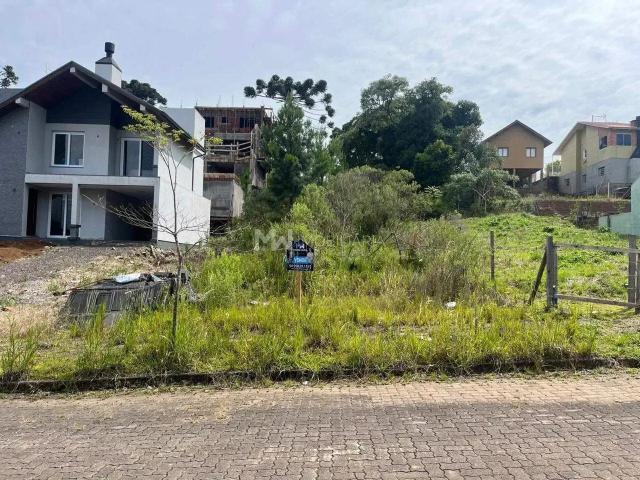 Terreno / Lote para Venda em Nova Petrópolis/RS Linha Imperial